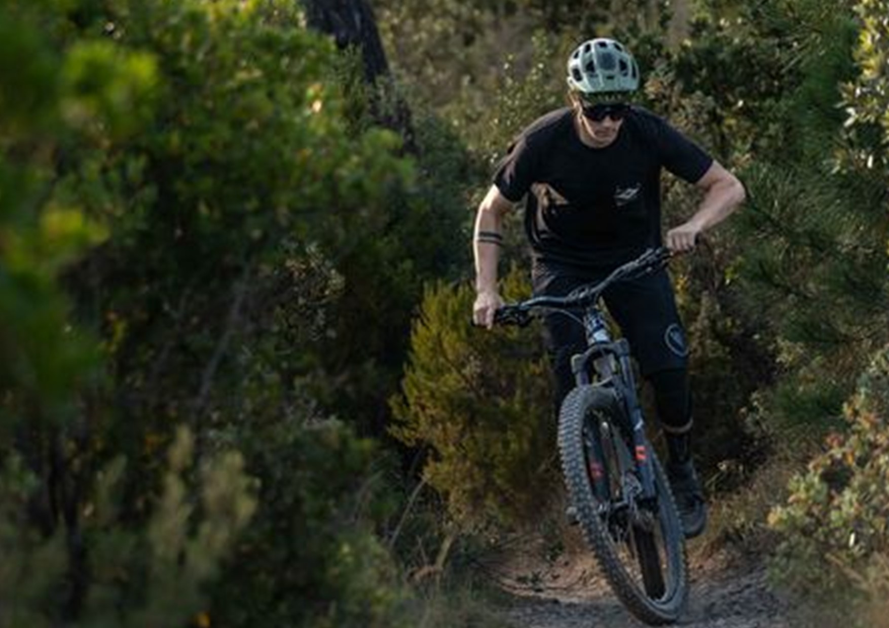 REX img | KASK JAPAN